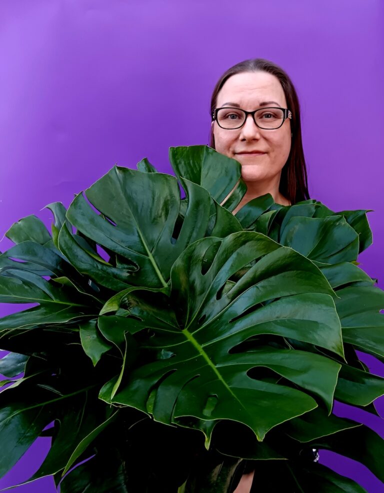 Kiinanruusun leikkaus – HULLUNA